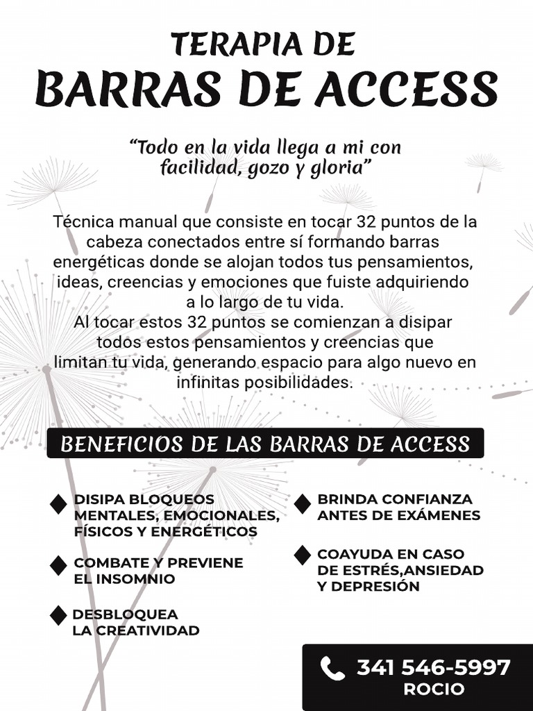 Folleto Barras de Access | PDF Folleto Barras de Access | PDF