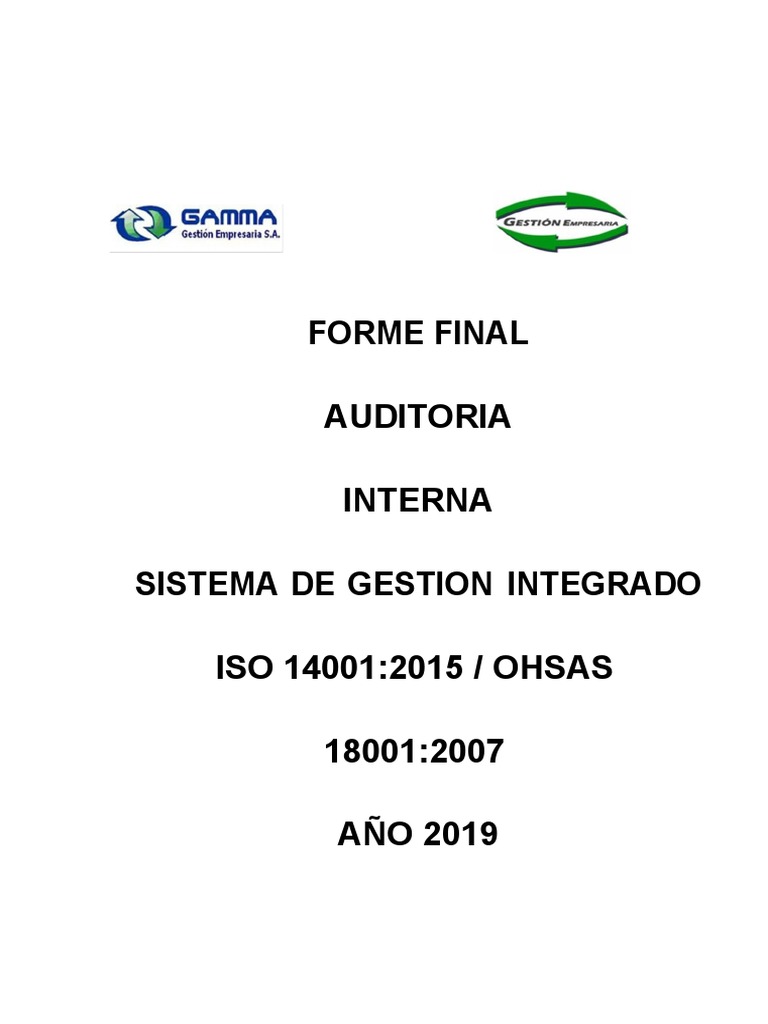 2019 - Informe Final de Auditoria Interna | PDF