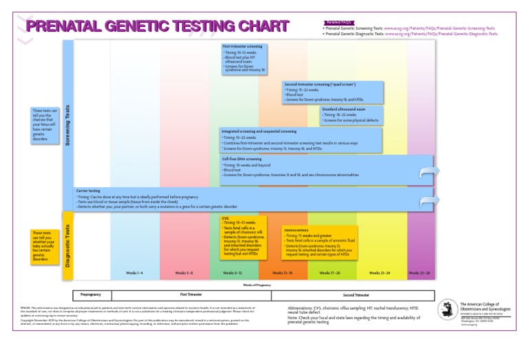 Prenatal Genetic Testing Chart | PDF | Genetic Disorder | Diseases And ...