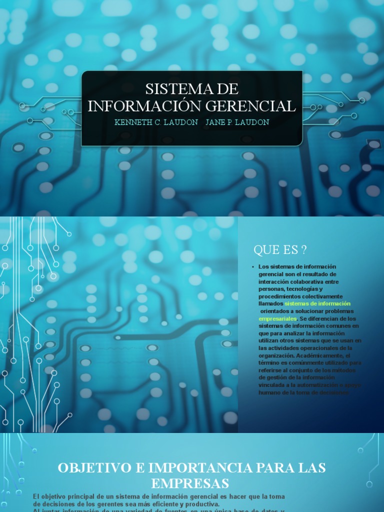 Sistema de Información Gerencial | PDF