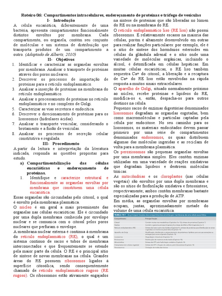 Roteiro de Estudo 06 | PDF