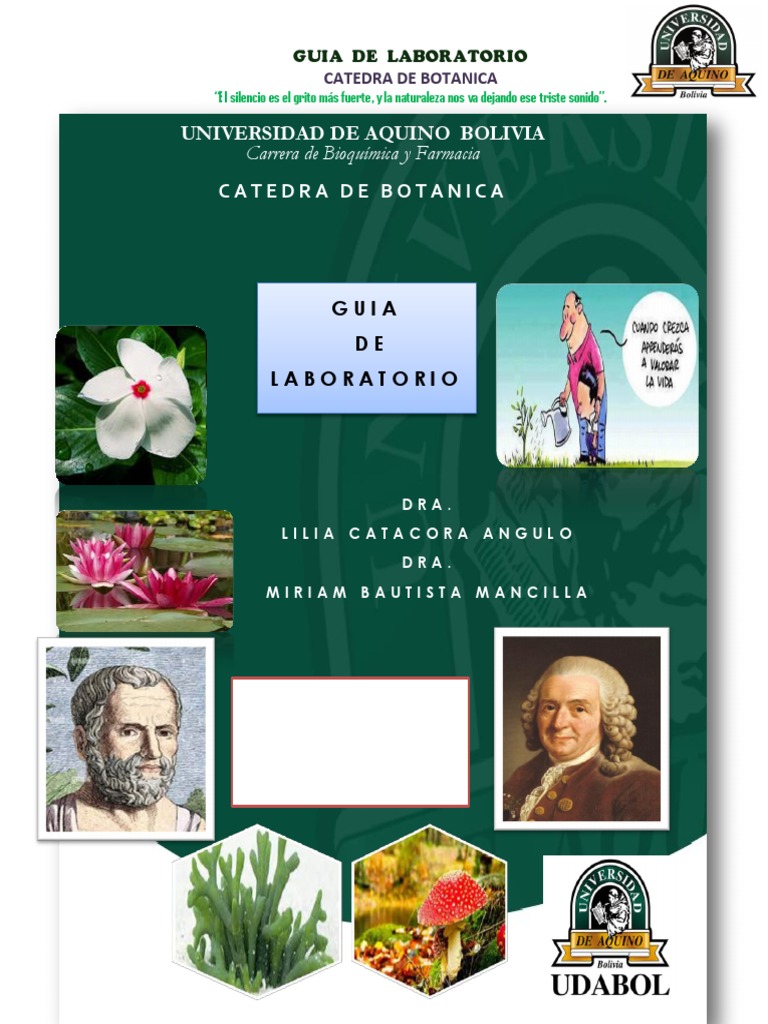 Guia de Laboratorio Botanica 2023 | PDF | Habitat | Ramas de la botánica