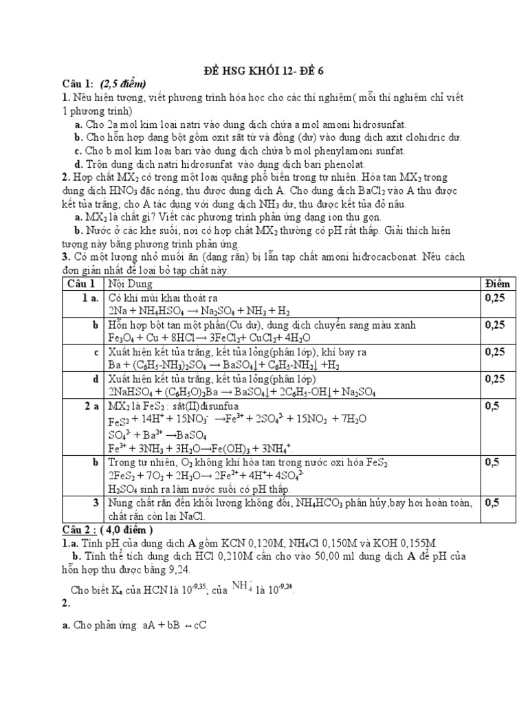 ĐỀ- HDC HSG HÓA 12- ĐỀ 6 | PDF
