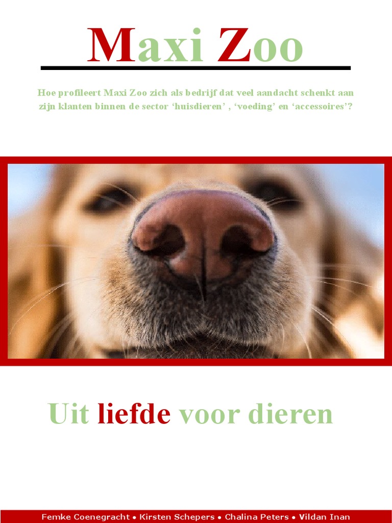 Paper Maxi Zoo Definitief | PDF