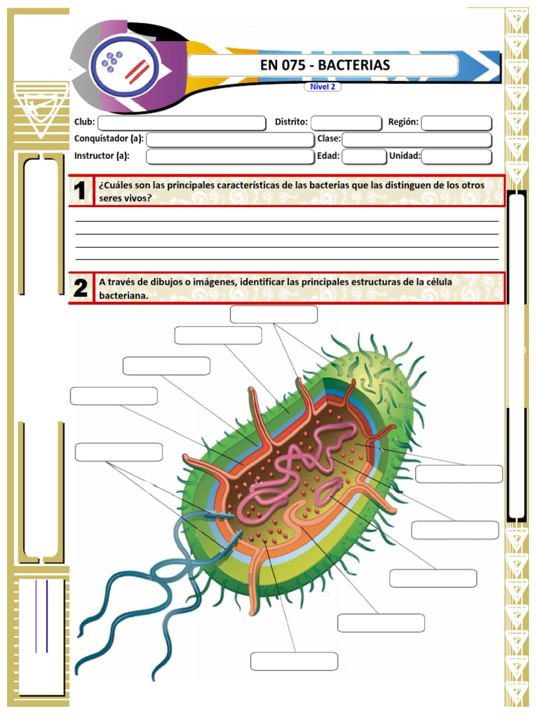 BACTERIAS | PDF