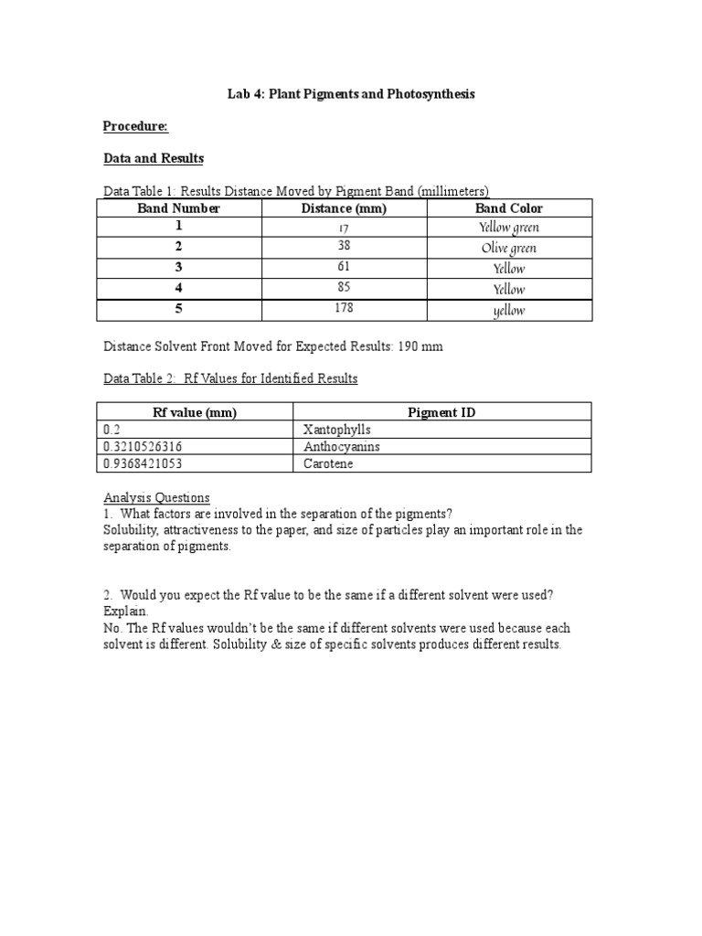 Grade 11 Chromatography Worksheet IB Bio | PDF | Self-Improvement