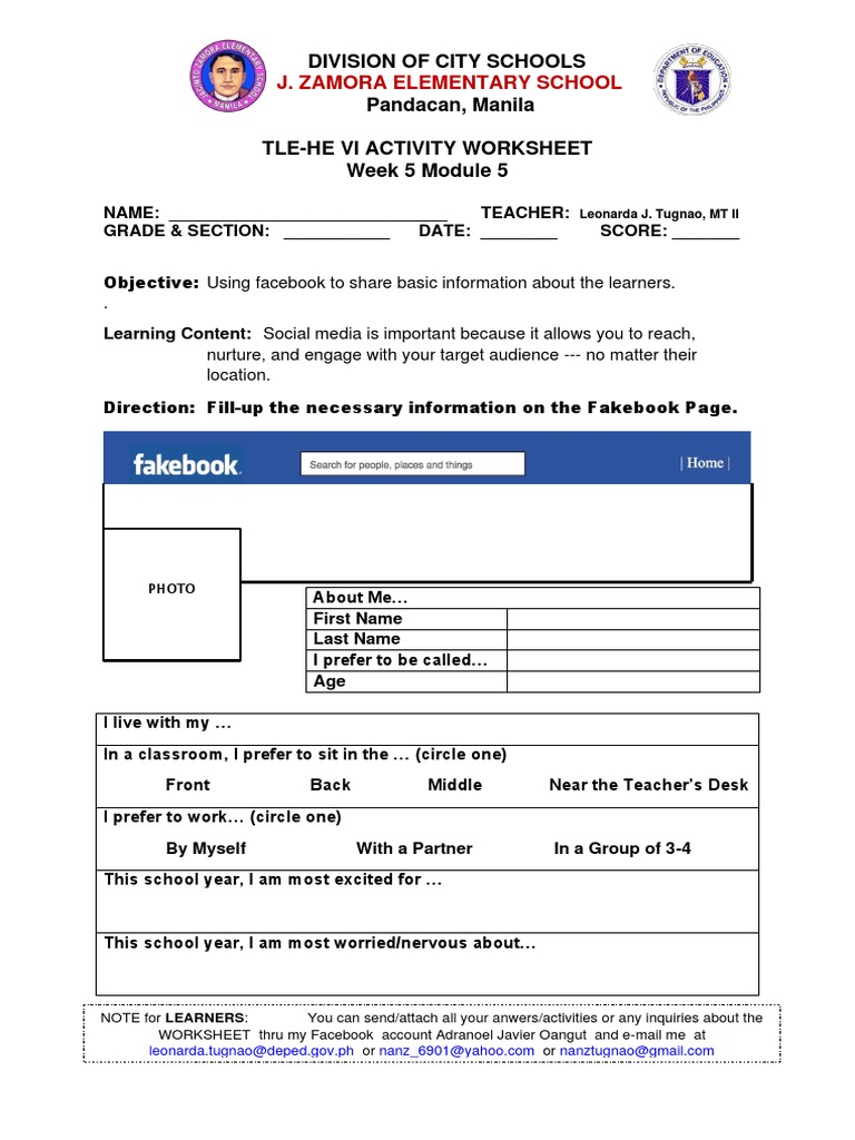 FAKEBOOK INFORMATION PAGE WORKSHEET ACTIVITY | PDF