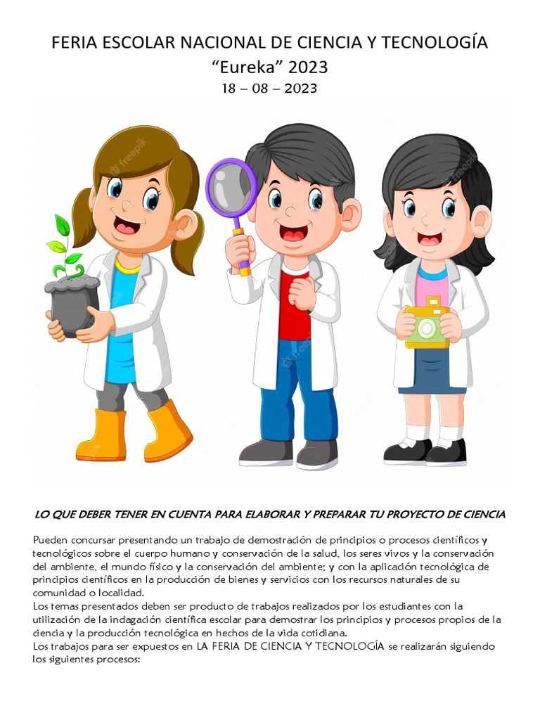 Pasos para Elaborar Un Proyecto de Ciencia Fencyt | PDF