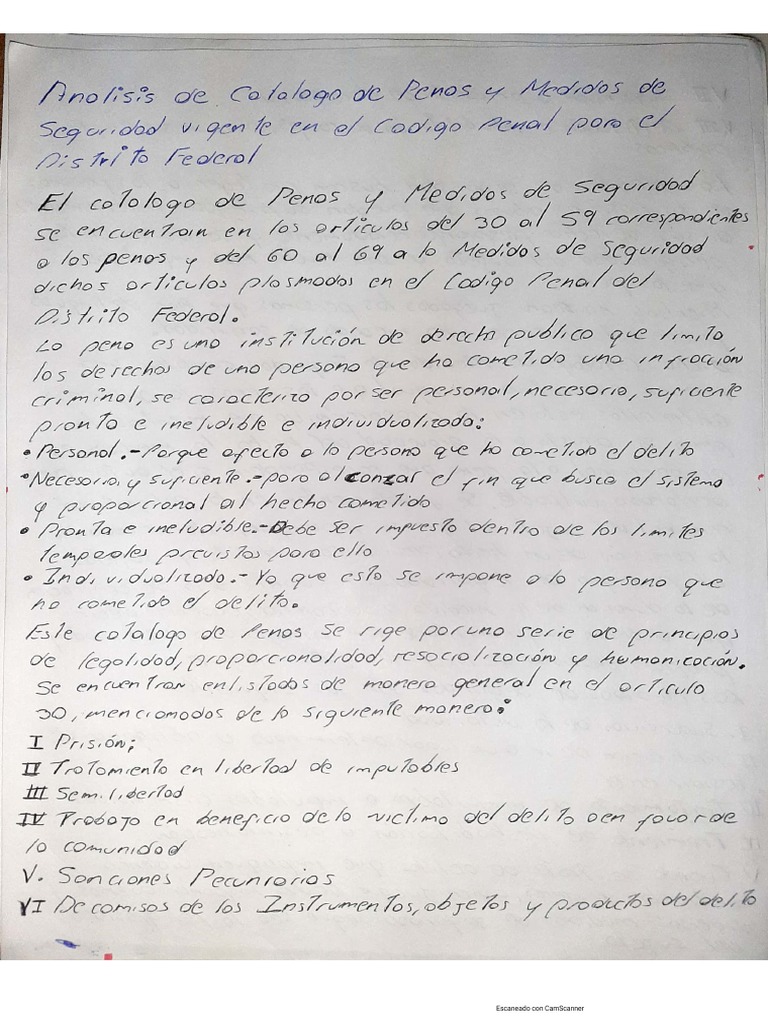 Cuadro de Penas y Medidas de Seguridad y Su Analisis Gorostieta Coronel Edwin Alfredo | PDF