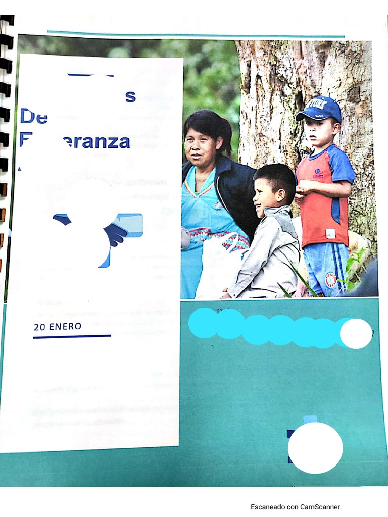 Ejemplo Perfil de Programa | PDF