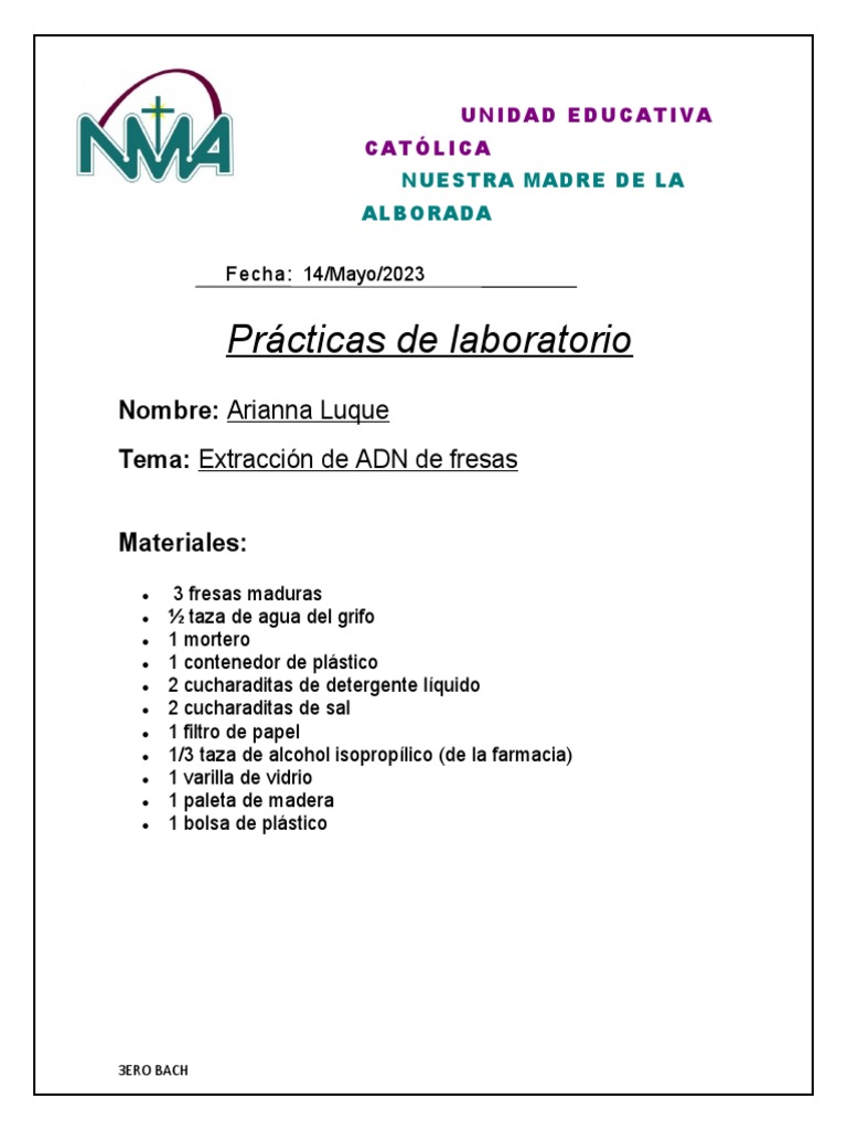 HOJA DE PRACTICA-DE-LABORATORIO Fresas - Docx ARI | PDF