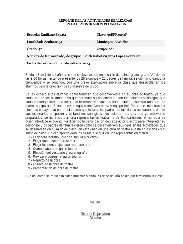 Formato de Reporte de Clase Muestra | PDF
