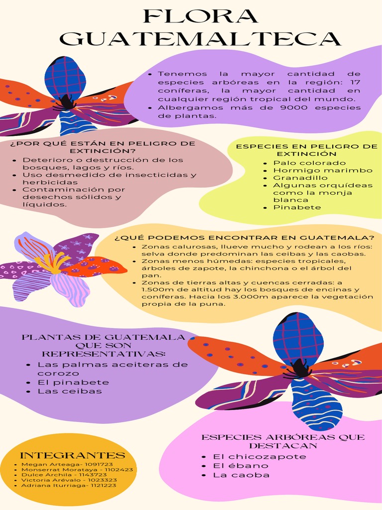 Infografía Informativa Flora de Guatemala | PDF