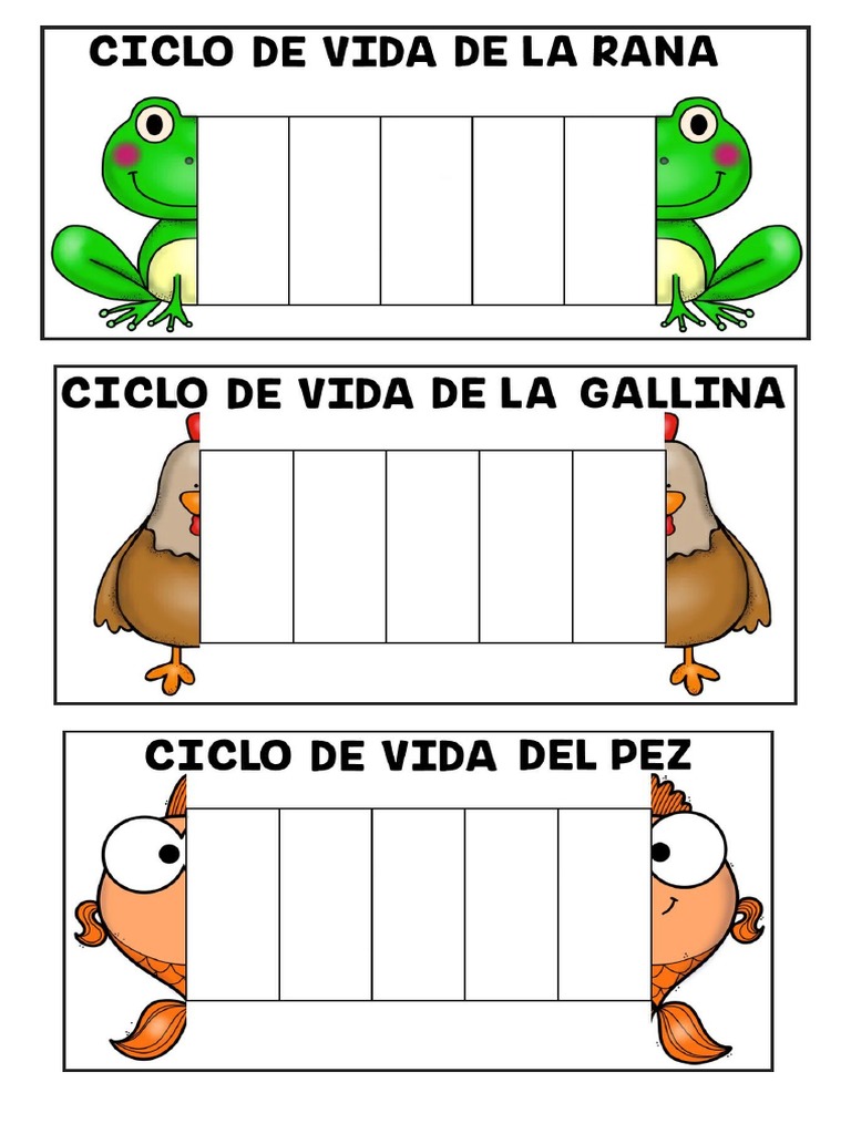 Ciclo de Vida | PDF