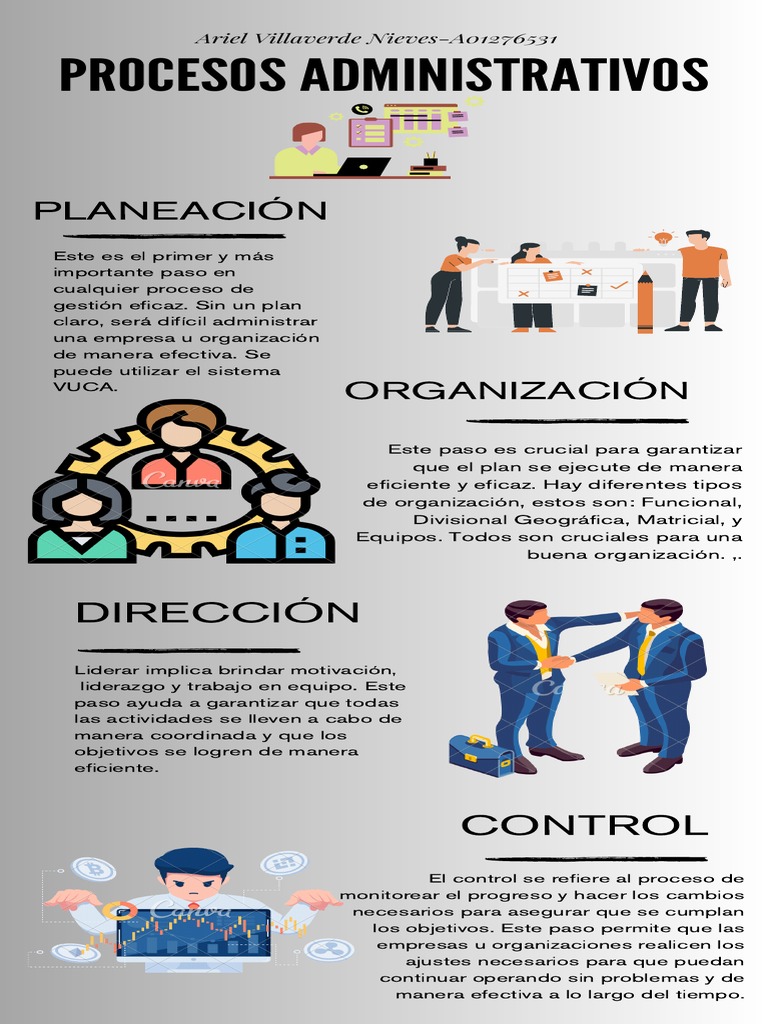 Infografía Procesos Administrativo | PDF