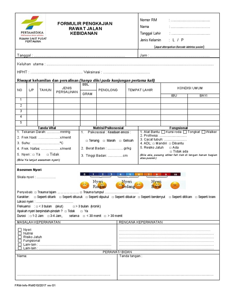 010 Form. Pengkajian Keperawatan RJ (Kebidanan) | PDF