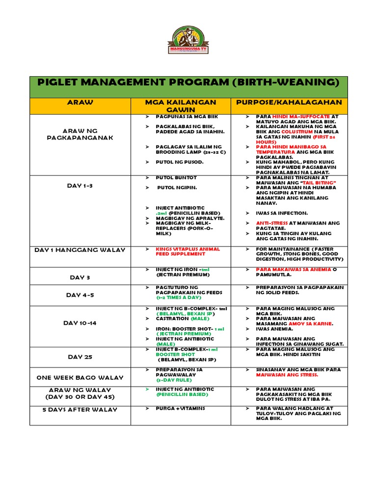Piglet Management FINAL PDF | PDF