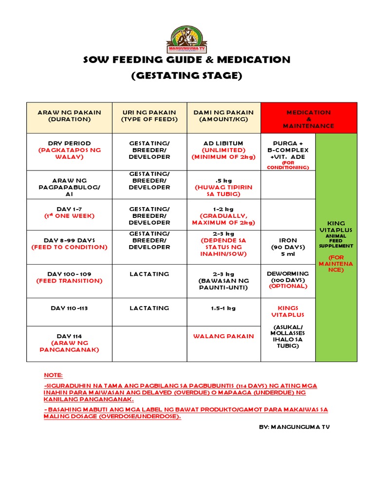 Gestating Sow Feeding Guide & Medication - Final PDF | PDF