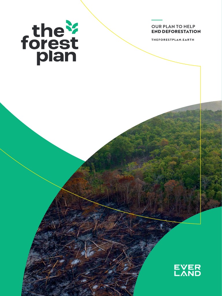 Everland The - Forest - Plan | PDF