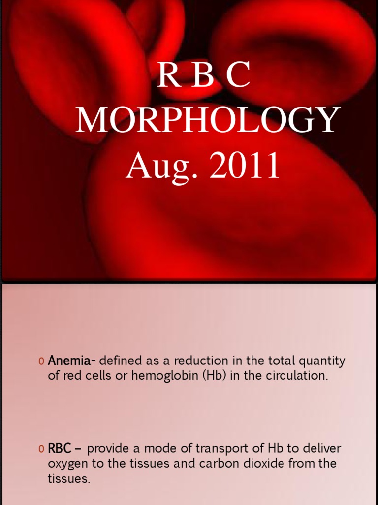 RBC Morphology and Anemia Diagnosis | PDF | Anemia | Red Blood Cell