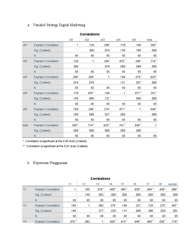 Variabel Strategi Digital Marketing | PDF