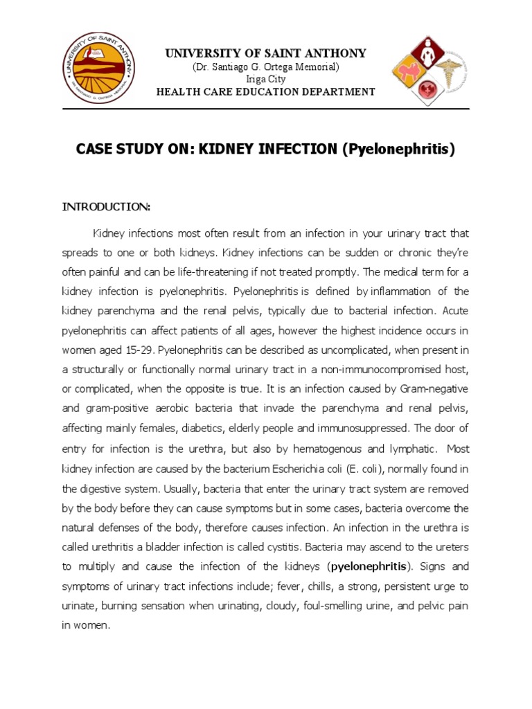 Case-Study On Urinary System Problem (Kidney Infection) | PDF | Self ...
