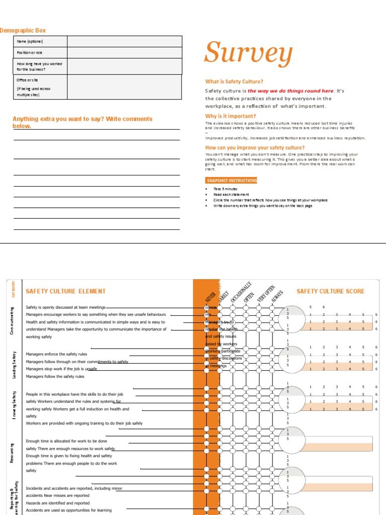 Safety Culture Snapshot Survey | PDF