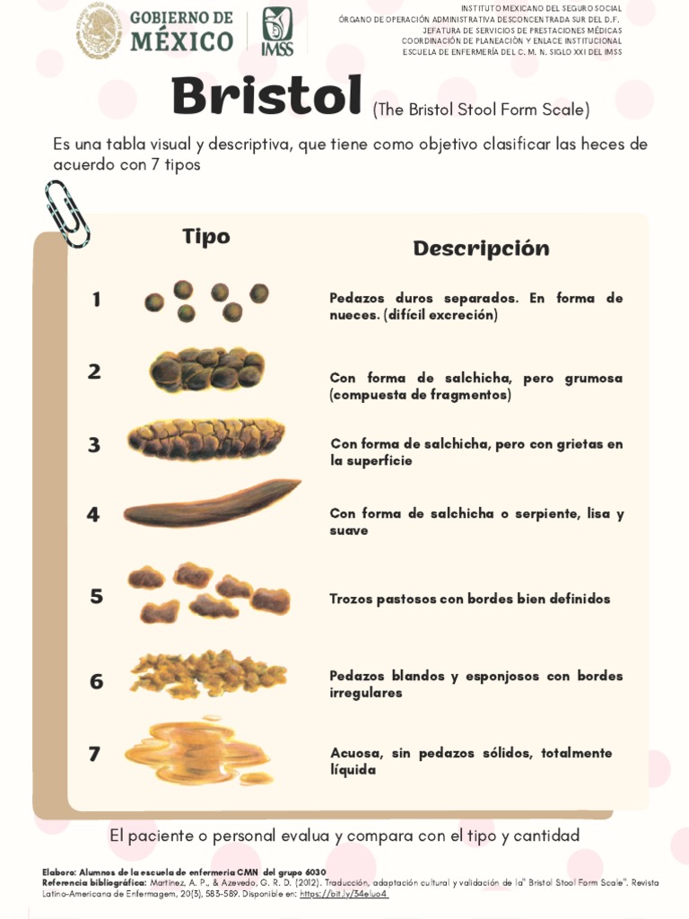 Escala Bristol | PDF