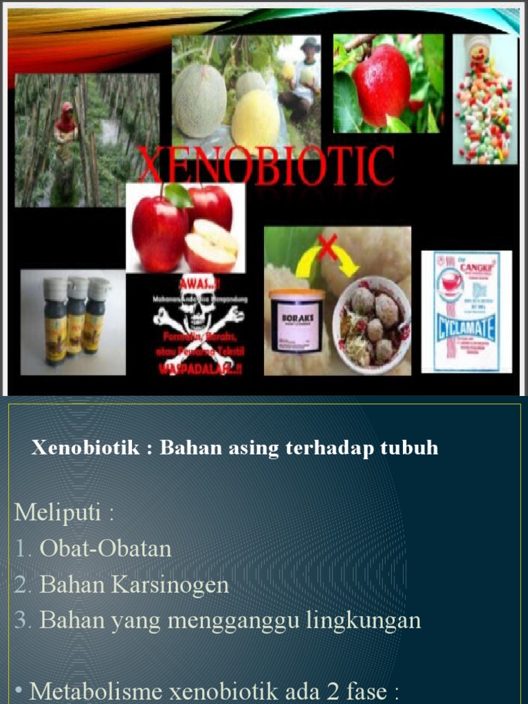 11. metabolisme xenobiotik | PDF