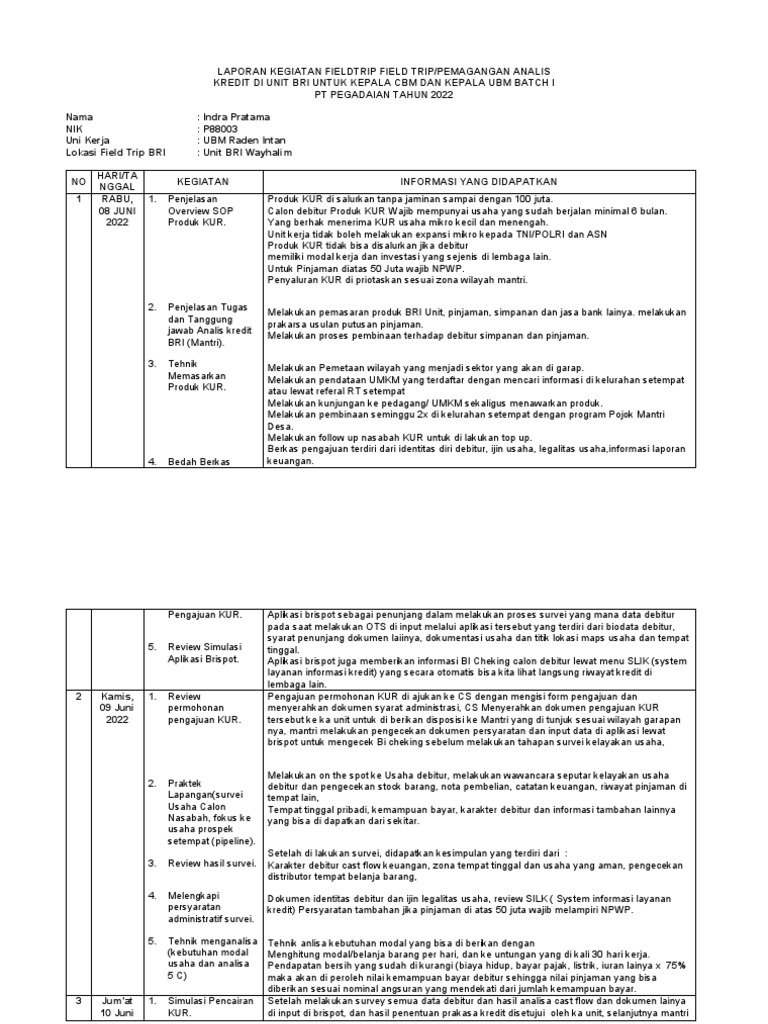 Indra Laporan Kegiatan Fieldtrip Field Trip Bri 2022 | PDF