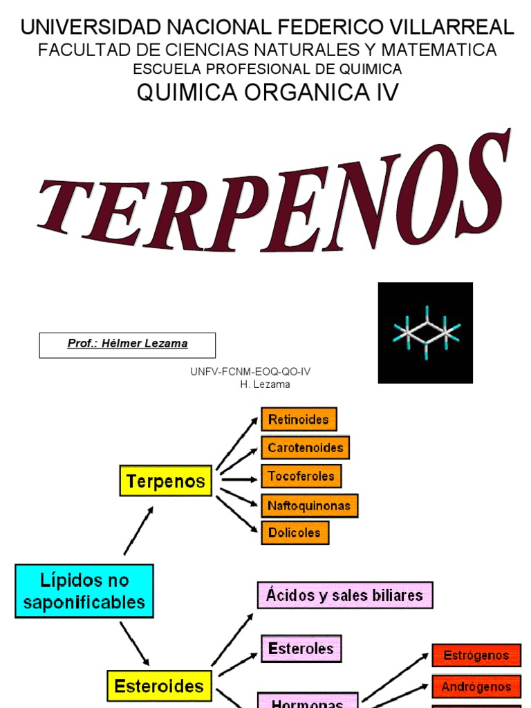 6 Terpenos 1 Pdf