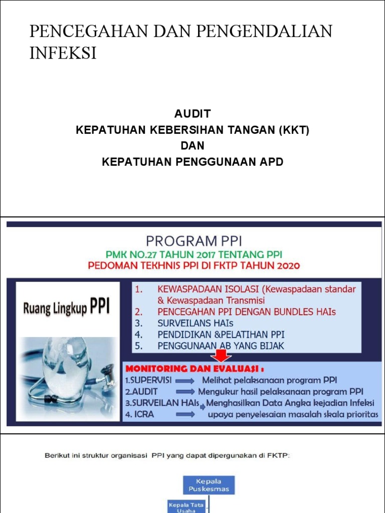 Monitoring PPI (KKT Dan APD) | PDF