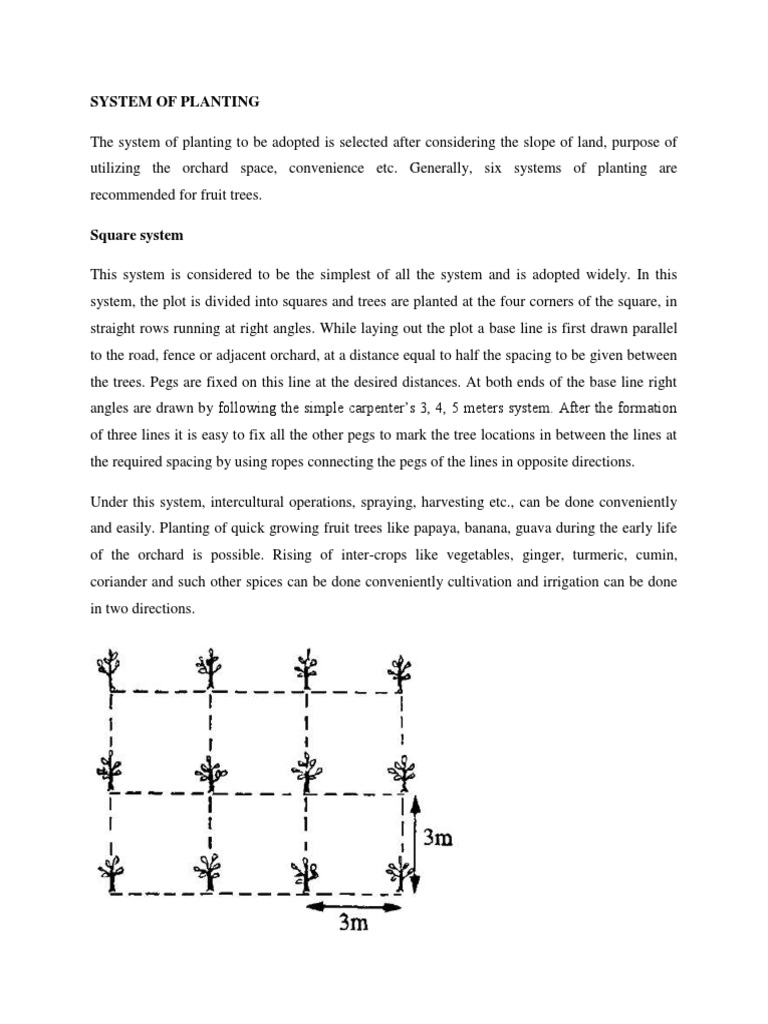 System of Planting | PDF