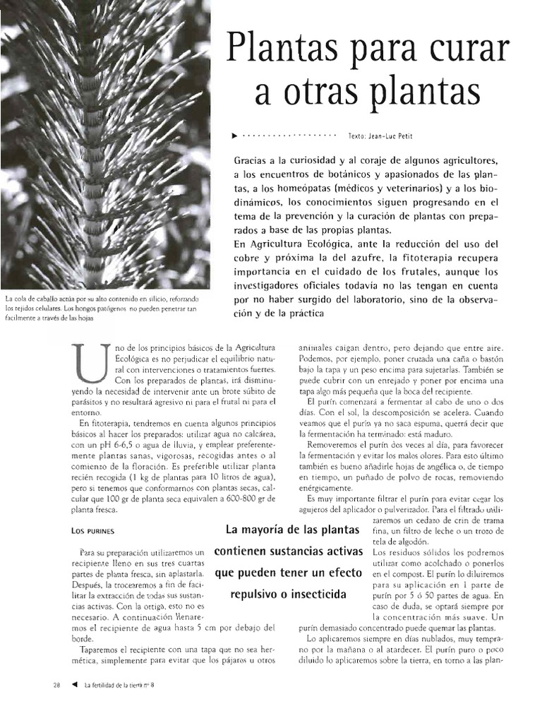 Plantas para Curar Otras Plantas | PDF