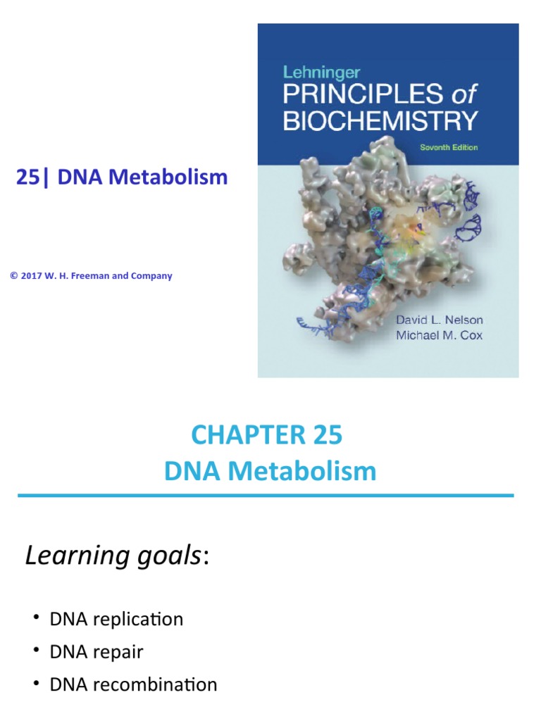 6-Lehninger Ch25, DNA Replication | PDF | Teaching Methods & Materials | Wellness