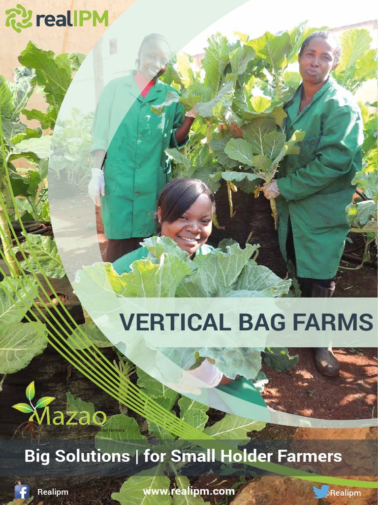 Vertical Bag Farming Solutions | PDF | Tomato | Irrigation