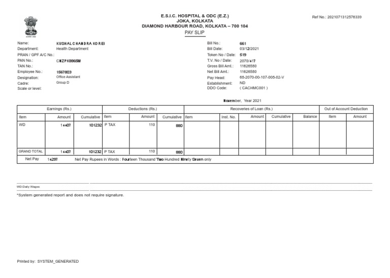 Employee Pay Slip for November 2021 | PDF
