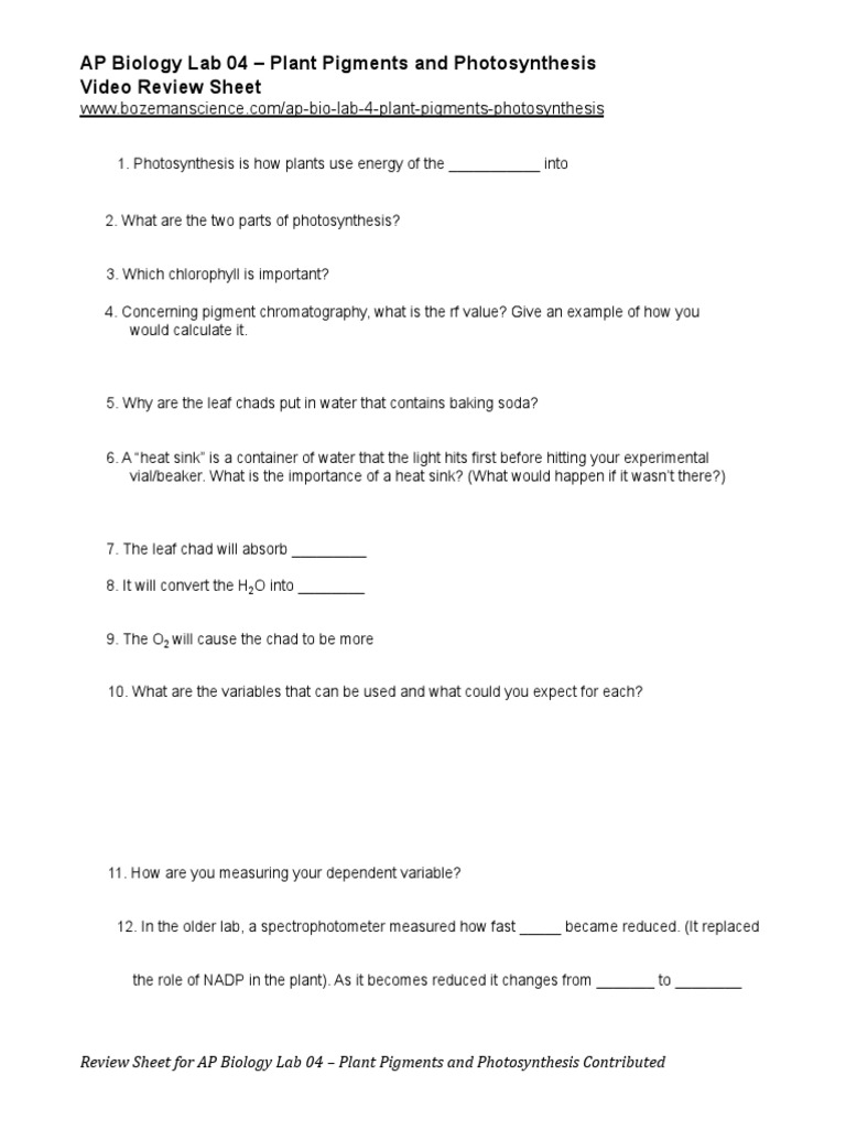 AP Bio Lab-04 Plant Pigments and Photosynthesis Worksheet-WL | PDF