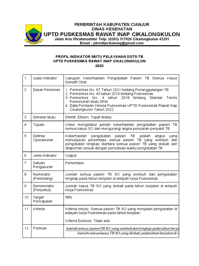 Profil Indikator Mutu Pelayanan DOTS TB | PDF