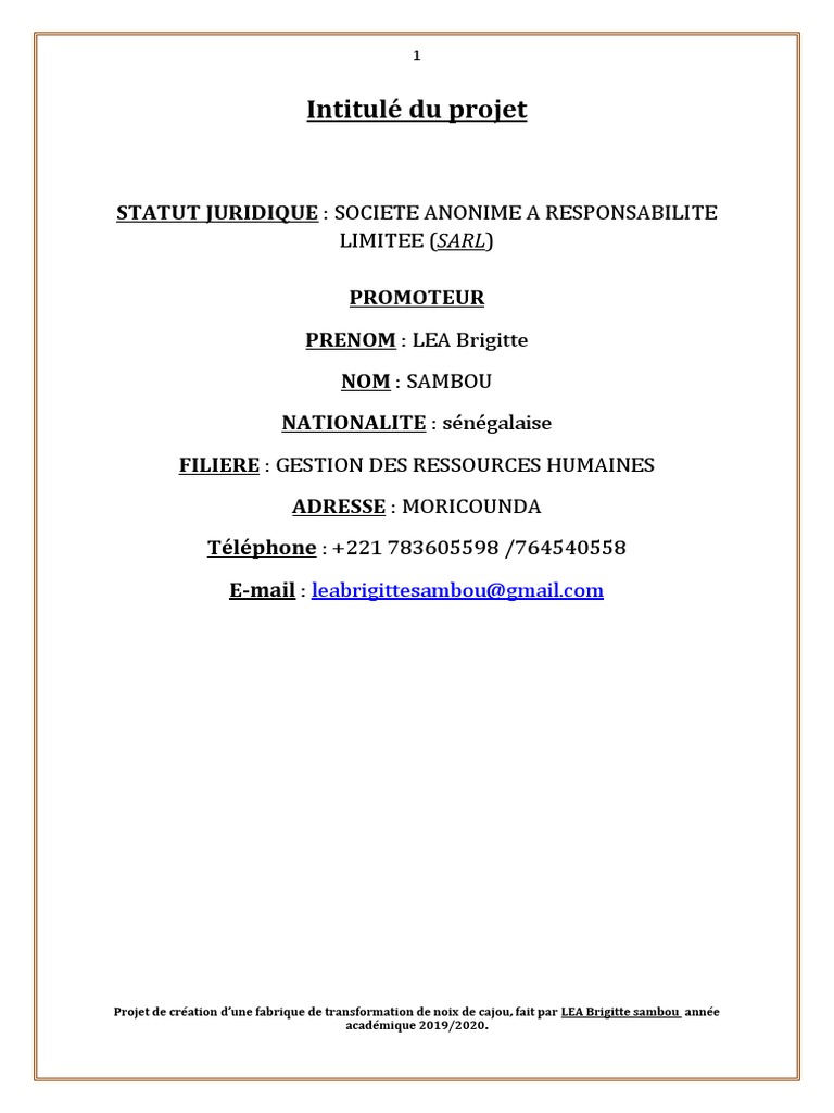 Le Projet | PDF