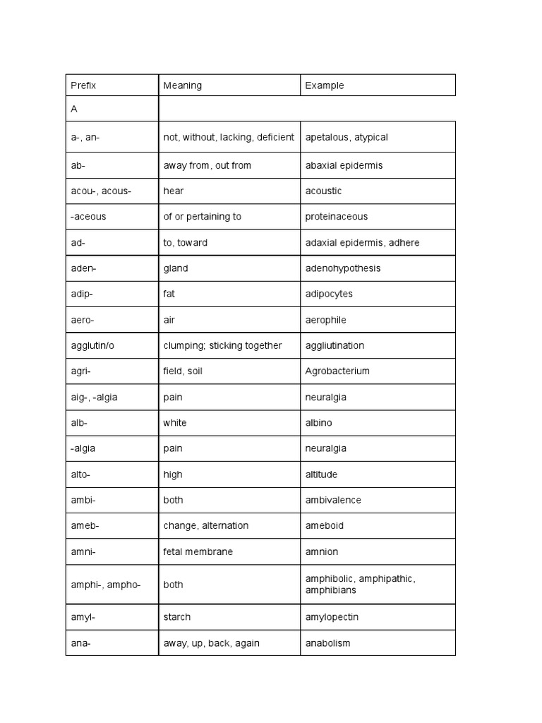 Prefixes | PDF
