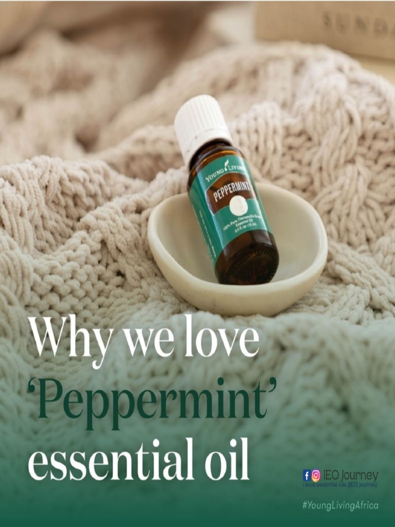 Why Do We Love Peppermint | PDF