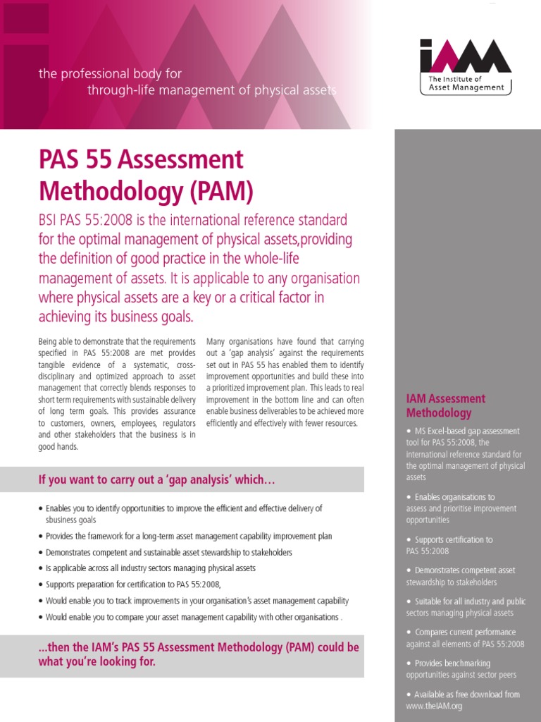 PAS 55 Assessment Methodology Guide | PDF | Risk Management ...
