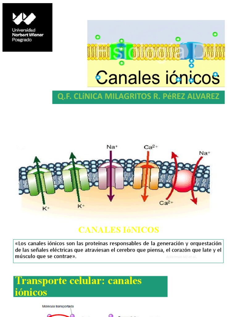 Clase 3 Canales Ionicos + Pract. | PDF | Canal de iones | Potencial de acción