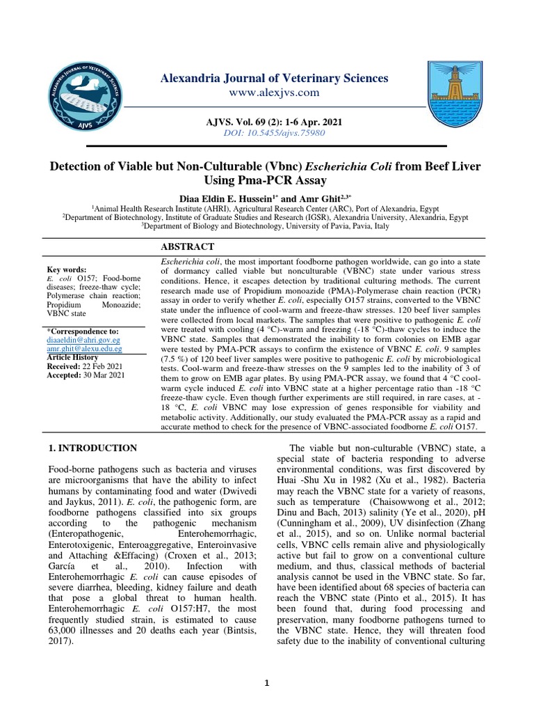 Detection of Viable But Non-Culturable (VBNC) Escherichia Coli From ...