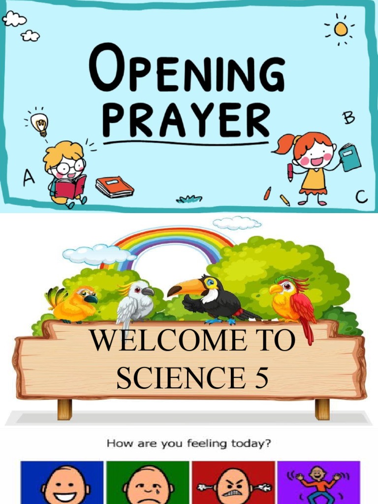 Science 5 (Q1W1&2) | PDF | Liquefied Petroleum Gas | Glasses