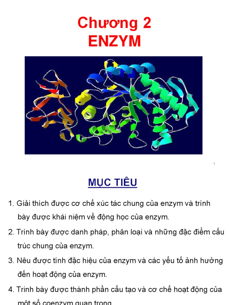 Chương 2. Enzym | PDF