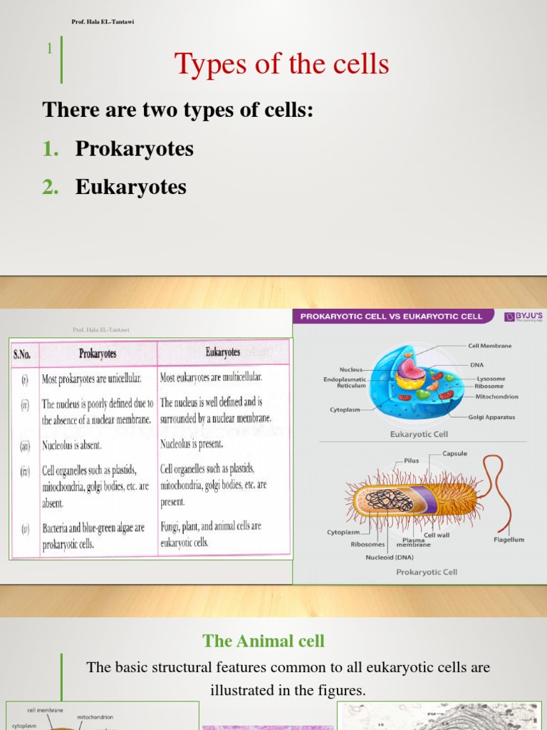 Lecture 2 Cytology | PDF | Cell Membrane | Cell (Biology)