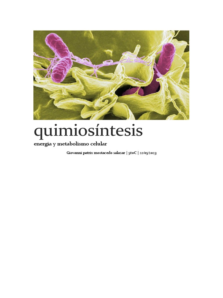 Quimiosíntesis | PDF
