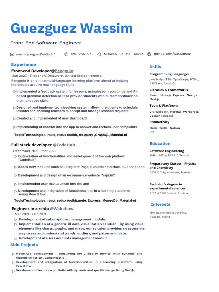 Wassim.guezguez ENG CV.pdf | PDF
